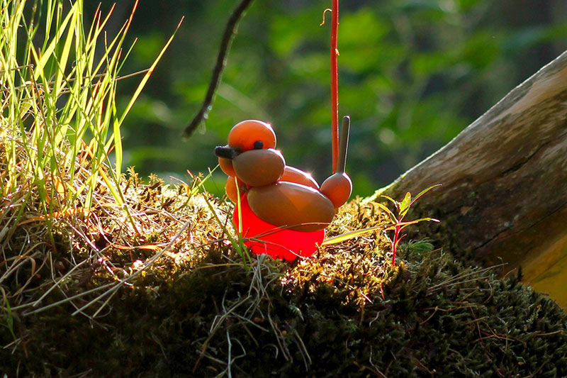 Balloon Birds Caught in Their Natural Habitat » TwistedSifter