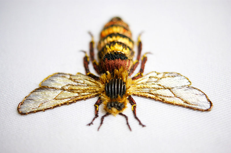 Stunning Animals Embroidered by Hand Using Colored and Metallic Thread ...
