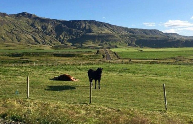 People are Sharing Photos That Confuse Them and Now My Brain Hurts (21 ...