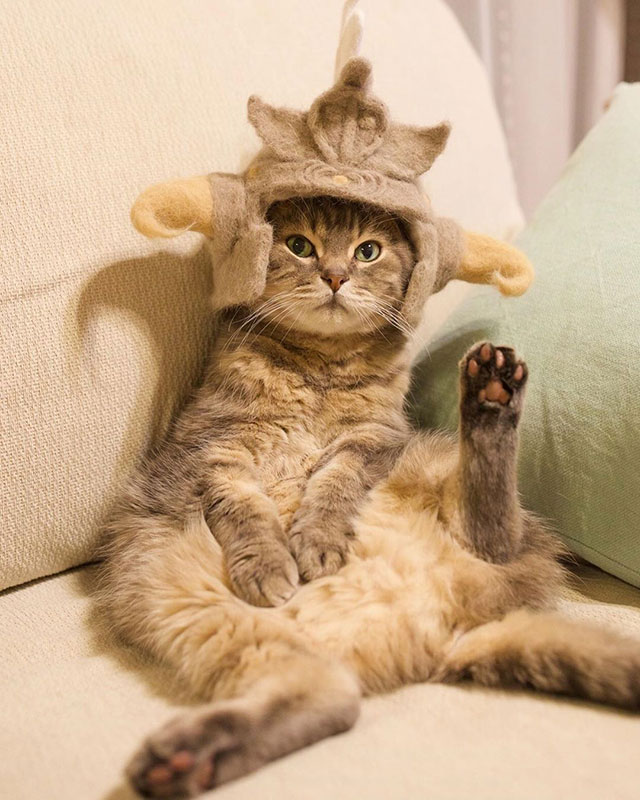These Artists Turn Their Cats' Shedded Fur Into Tiny Cat Hats ...