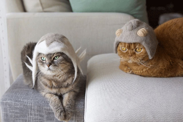 These Artists Turn Their Cats' Shedded Fur Into Tiny Cat Hats ...