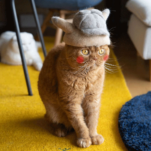 These Artists Turn Their Cats' Shedded Fur Into Tiny Cat Hats ...