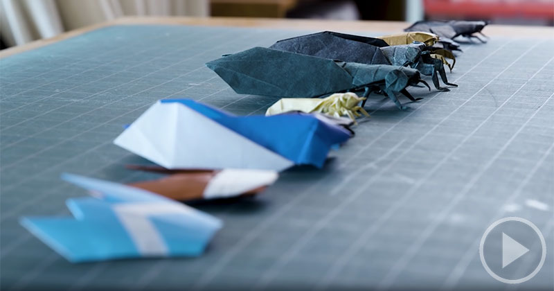 Origami Cicada: 11 Levels of Complexity from Easiest to Most Difficult ...