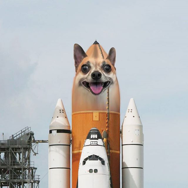 This Guy Can’t Stop Photoshopping Animals Into the Most Random Things ...