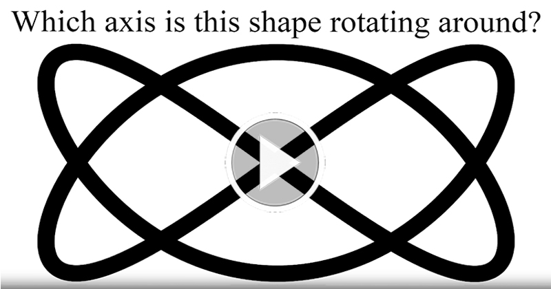 This Mind Boggling Dual Axis Illusion was Just Honored as the Best of ...