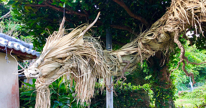 This Awesome Dragon Made From Palm Tree Leaves (5 Photos) » TwistedSifter