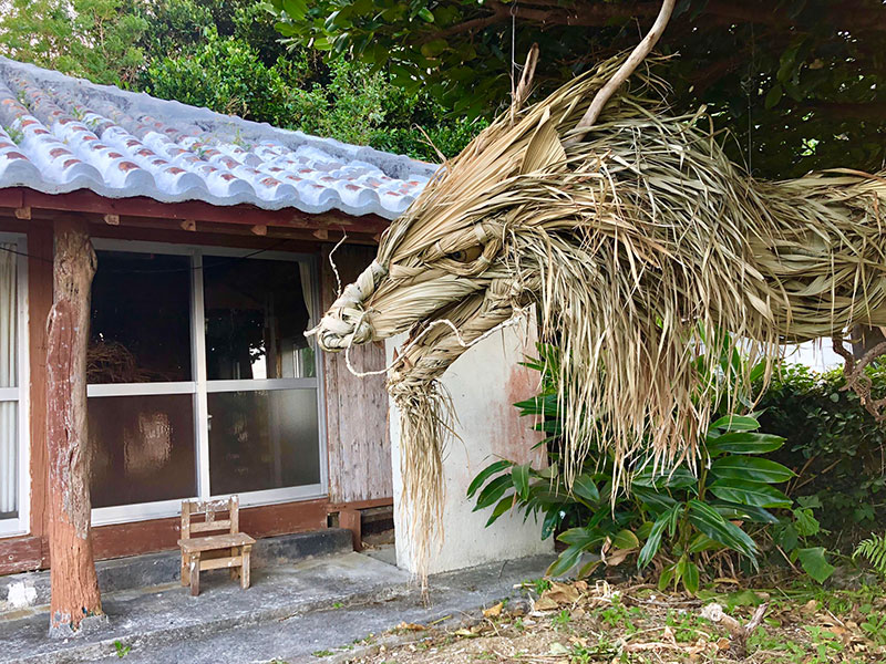 This Awesome Dragon Made From Palm Tree Leaves (5 Photos) » TwistedSifter