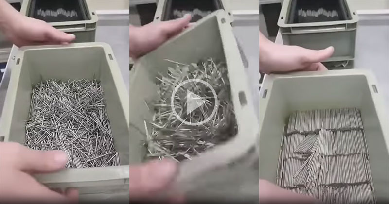 This Video of a Guy Organizing a Box of Nails Has People Swearing It’s ...
