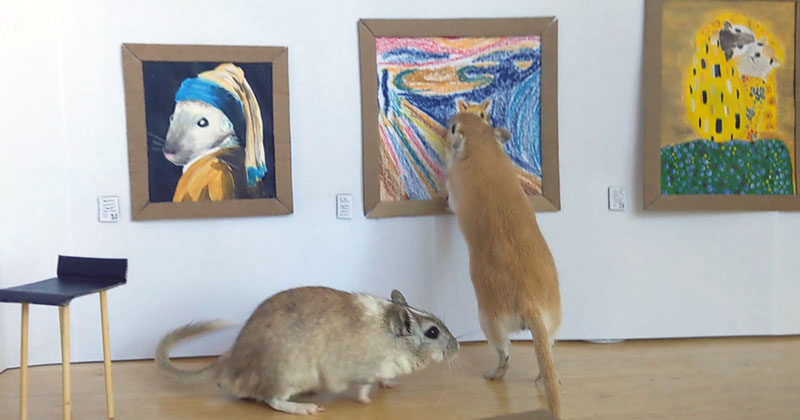 This Couple Made a Miniature Art Museum for their Gerbils and it’s the ...