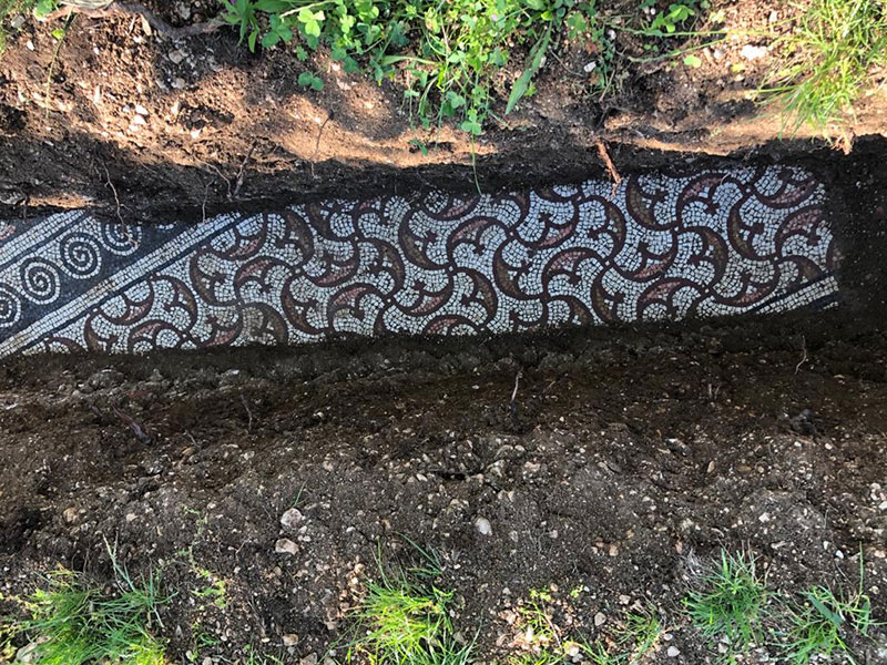 Stunning 3rd Century Roman Mosaic Discovered Under Vineyard in Italy ...