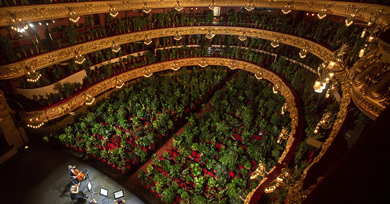 Barcelona Opera Reopens to a Packed Crowd of House Plants » TwistedSifter