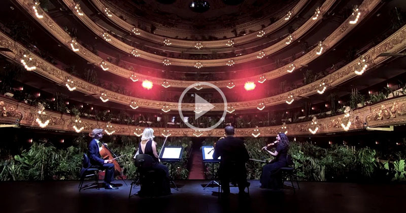 The Surreal Barcelona Opera House Performance to a Full Theatre of ...