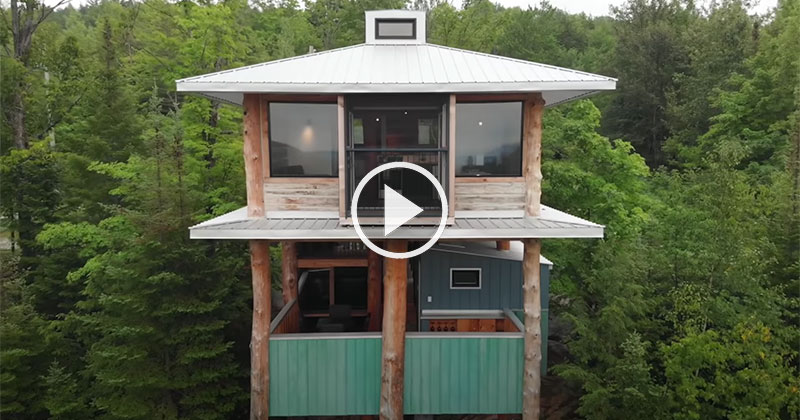 Amazing 2 Story Treehouse Built From 20 Years of Collecting Scrap ...