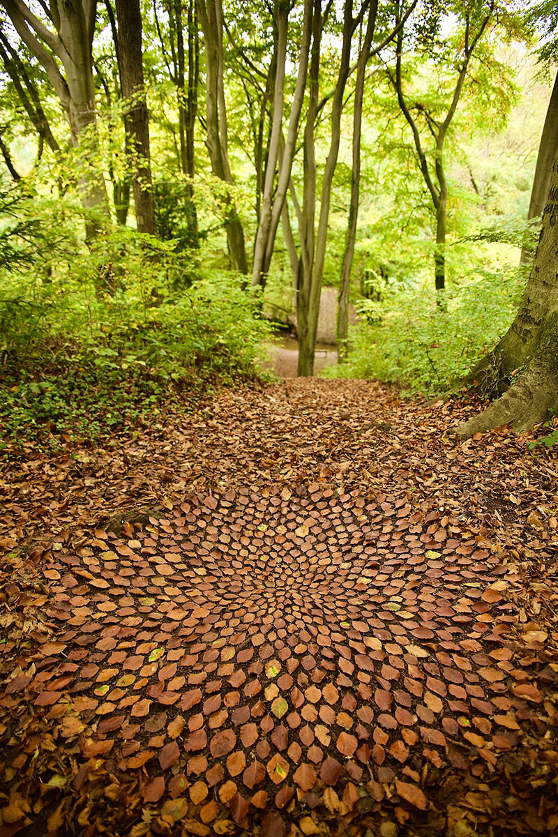 James Brunt Uses Fall Foliage to Create Temporary Works of Earth Art ...