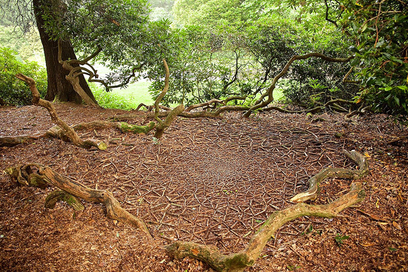 James Brunt Uses Fall Foliage to Create Temporary Works of Earth Art ...