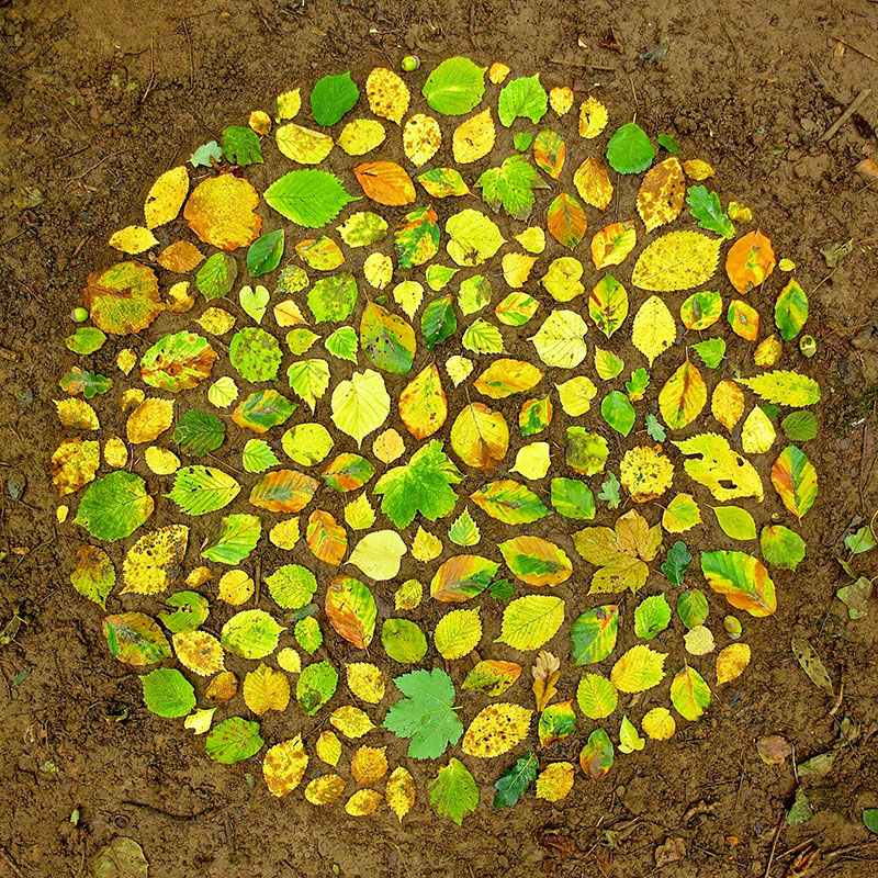 James Brunt Uses Fall Foliage to Create Temporary Works of Earth Art ...