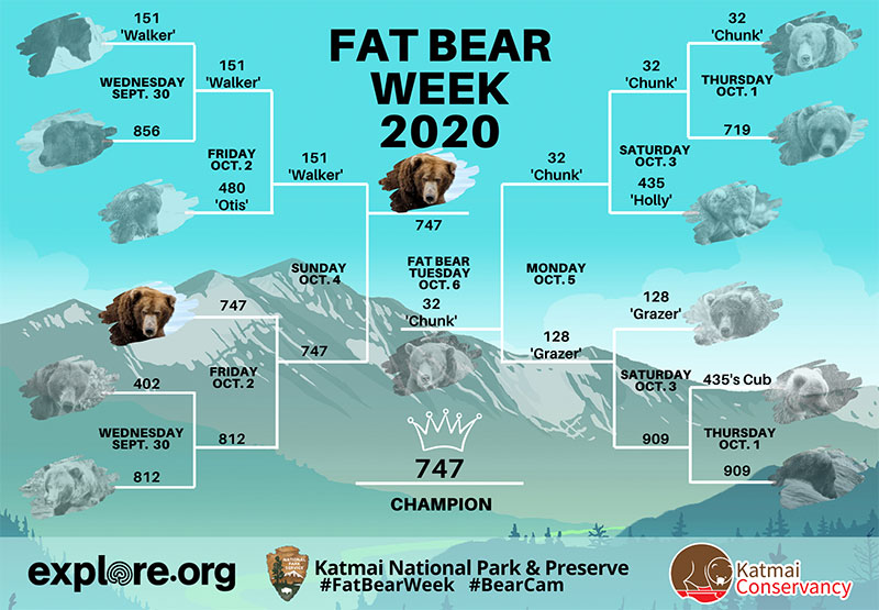 After 500,000 Votes, Bear 747 Crowned 2020 Champion of Fat Bear Week ...