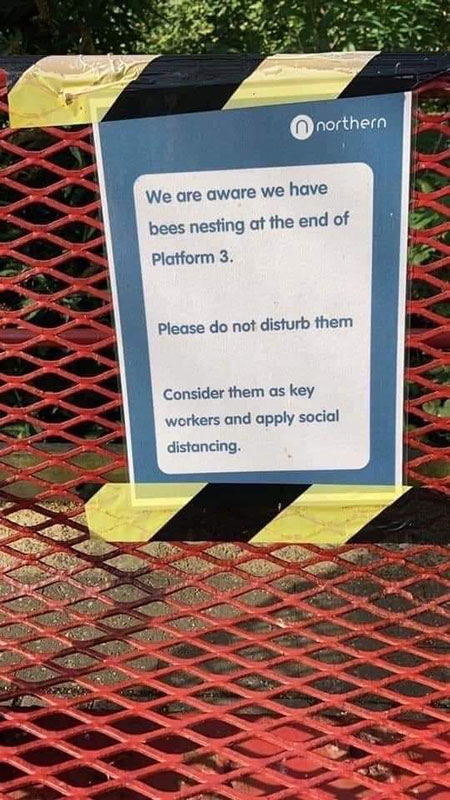 25 Funny Signs That Prove Covid Will Never Take Our Sense of Humor ...