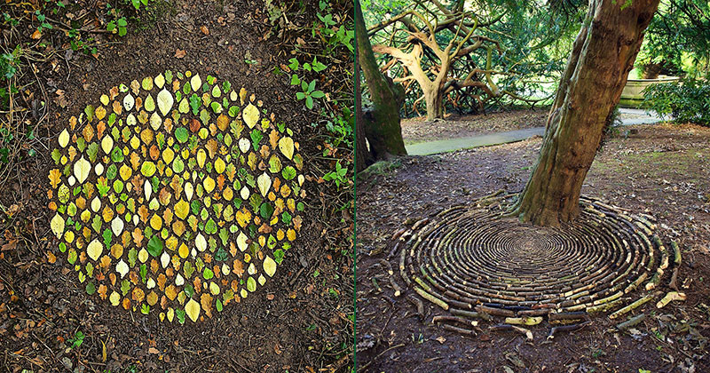 James Brunt Uses Fall Foliage to Create Temporary Works of Earth Art ...