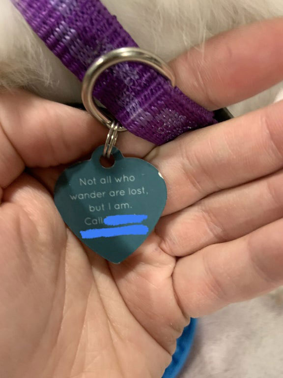 Dog Tags are Always Useful and Sometimes Hilarious (13 Pics ...