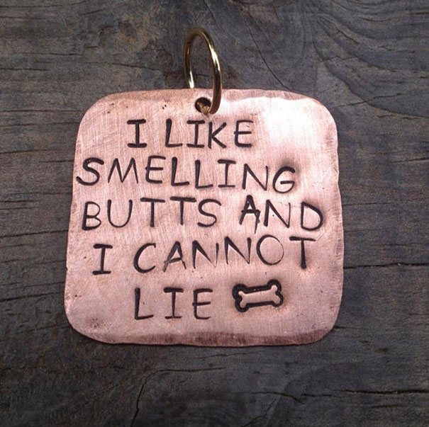 Dog Tags are Always Useful and Sometimes Hilarious (13 Pics ...