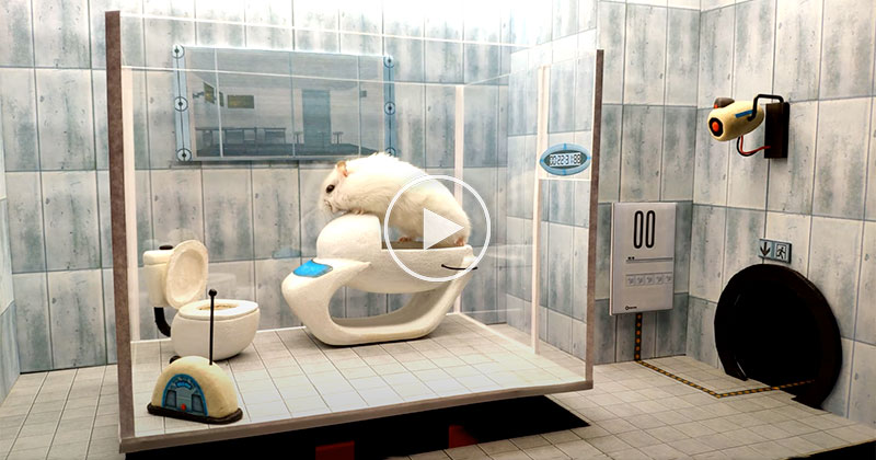 This Portal-Themed Hamster Escape is Just Brilliant » TwistedSifter