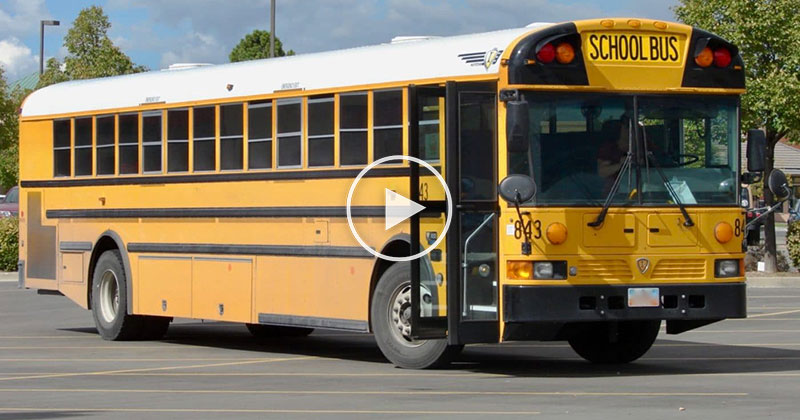 What the Black Lines on a School Bus are For » TwistedSifter