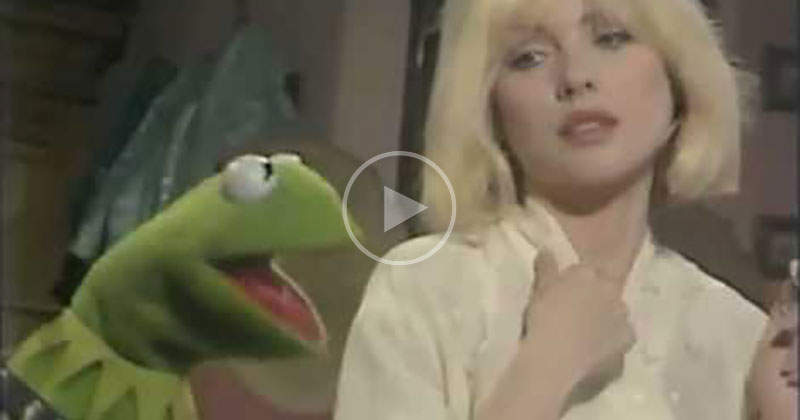 The Only Time Kermit Performed ‘Rainbow Connection’ on the Muppet Show ...