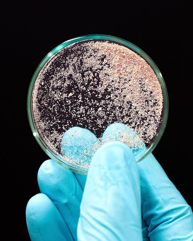 Beach Sand Under a Microscope » TwistedSifter