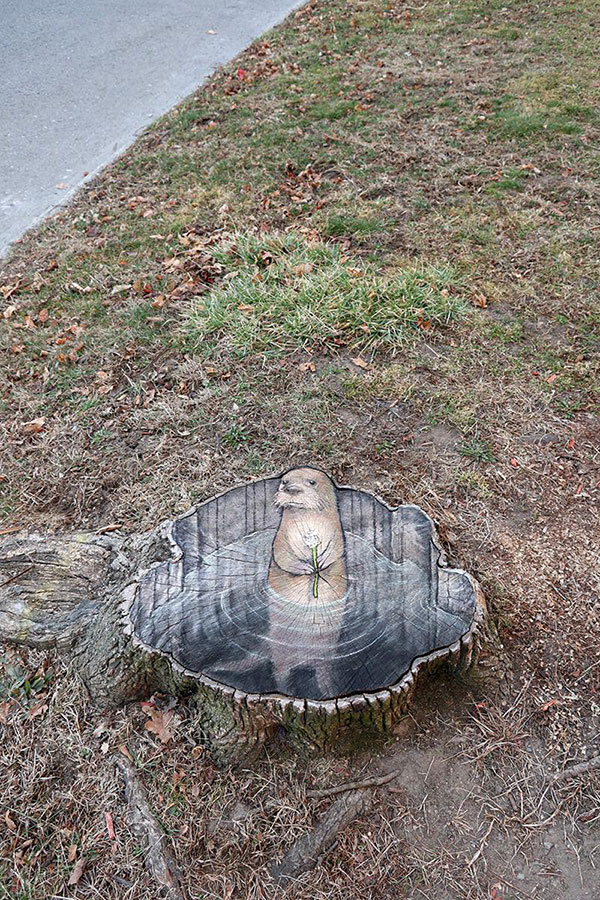David Zinn Draws Tiny Chalk Art Throughout Ann Arbor and Its the Best ...