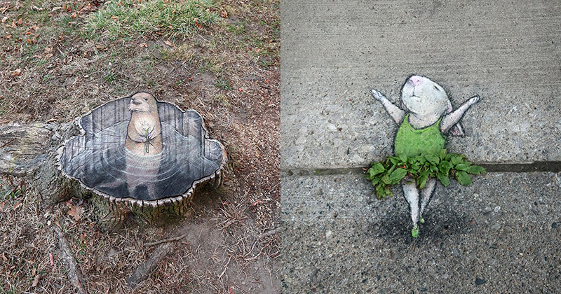 David Zinn Draws Tiny Chalk Art Throughout Ann Arbor and Its the Best ...