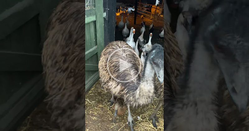 Category: ART » » Page: 22TwistedSifter