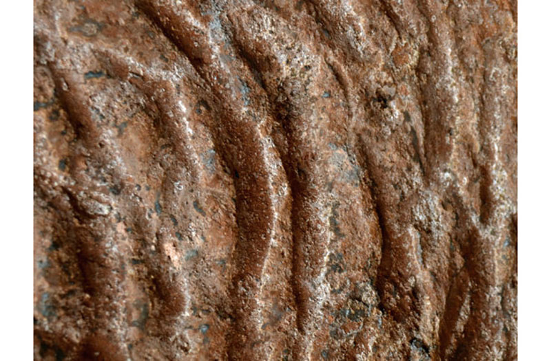 These Tunnels Were Dug by Giant Ground Sloths that Lived 10,000 Years ...