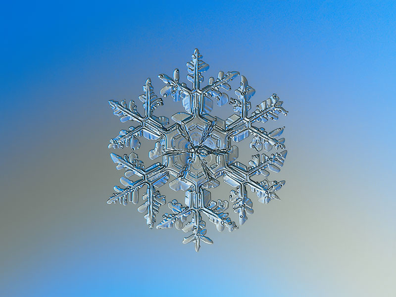A Single Snowflake » TwistedSifter