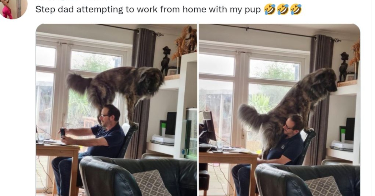 The Shirk Report – Volume 674 » TwistedSifter