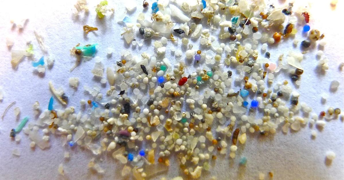 Microplastics Have Been Discovered for the First Time in Human Blood ...