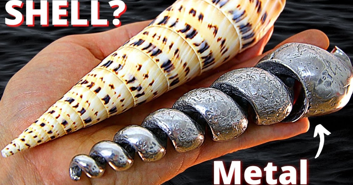 Trying to Make a Perfect Internal Casting of a Seashell » TwistedSifter