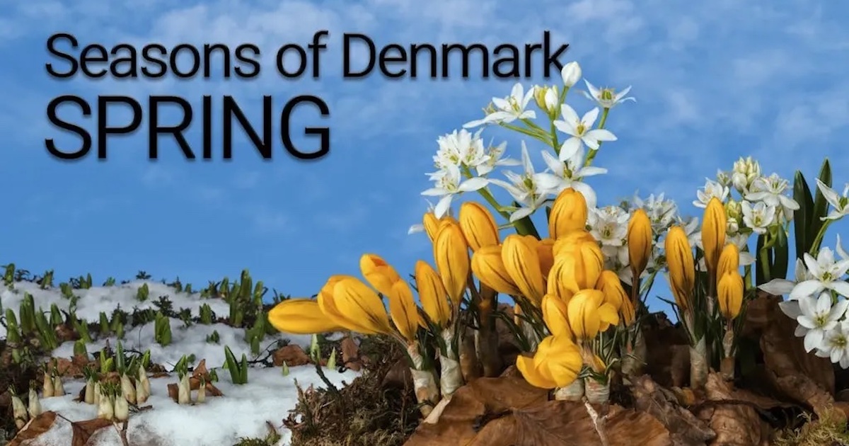 Four Short Films That Show the Beauty of Denmark in All Four Seasons ...