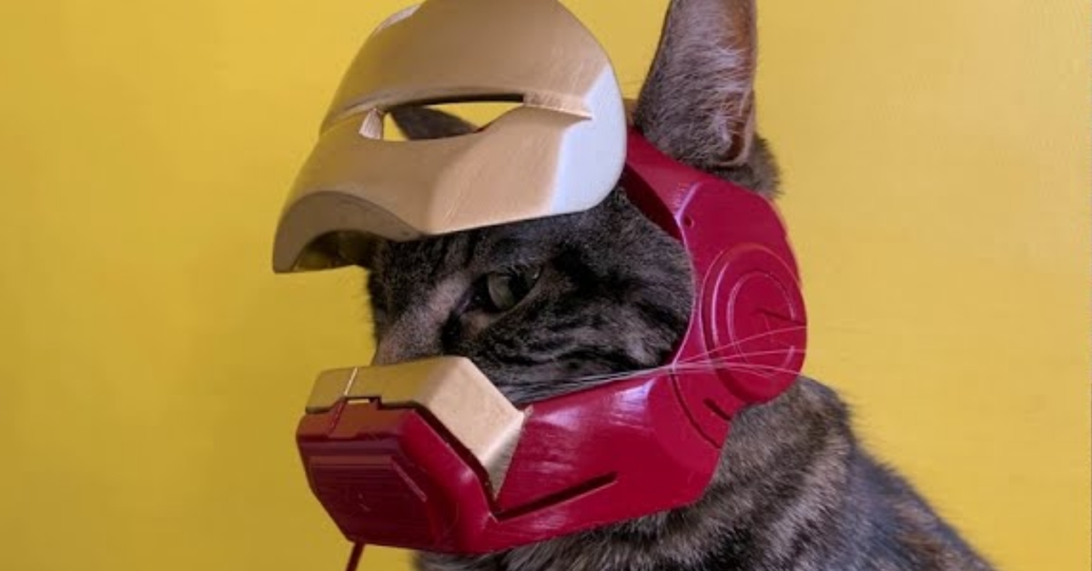 A Man Made a 3-D Printed “Iron Man” Helmet for His Cat » TwistedSifter