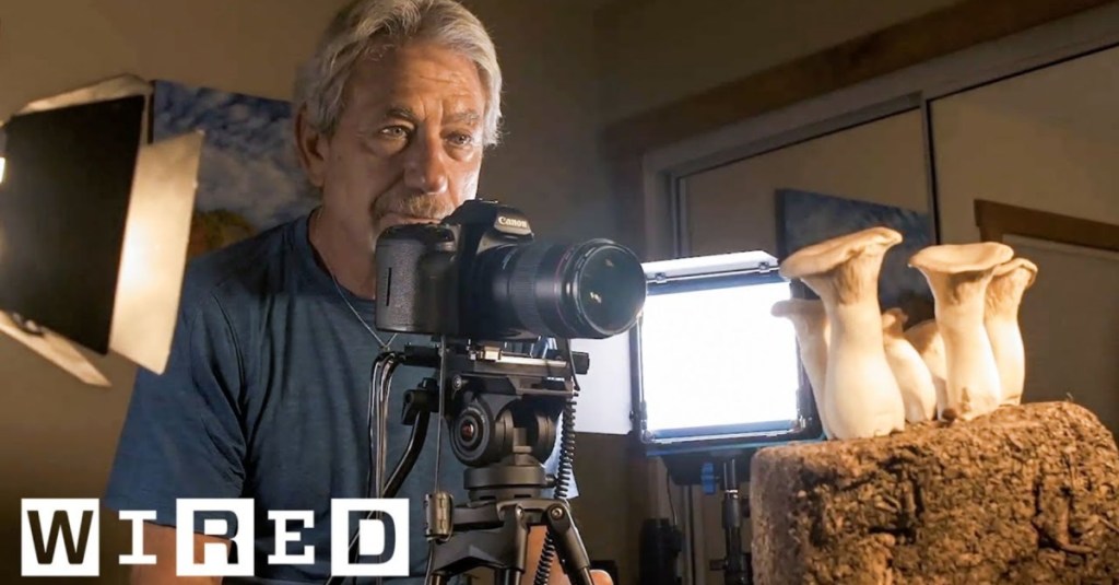 Incredible Examples of Electron Microscope Photography » TwistedSifter