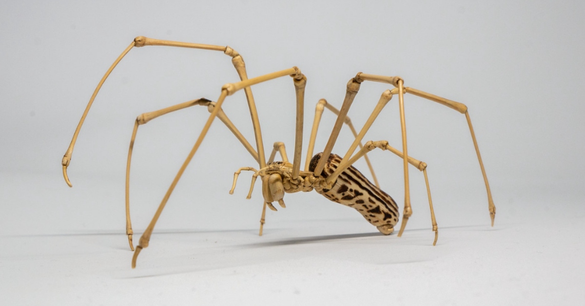 PiRANOIAS: JIBJAB... Sendables!!