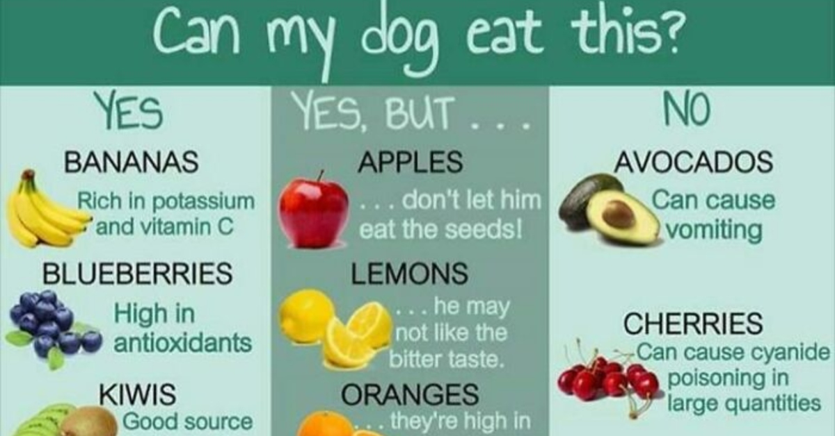 10 Interesting Food Charts You Should Check Out | 15 Minute News