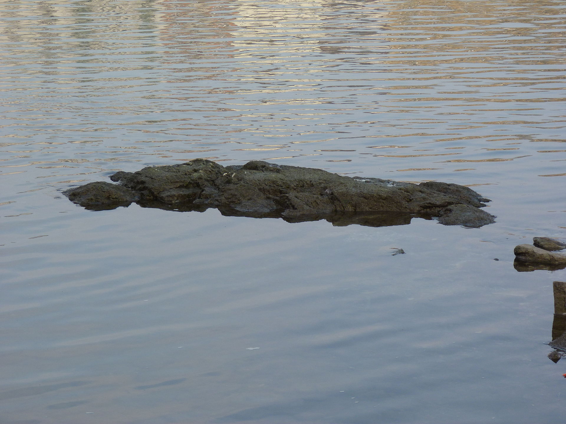 Why Hunger Stones Are Terrifying People In A Drought-Ravaged Europe ...