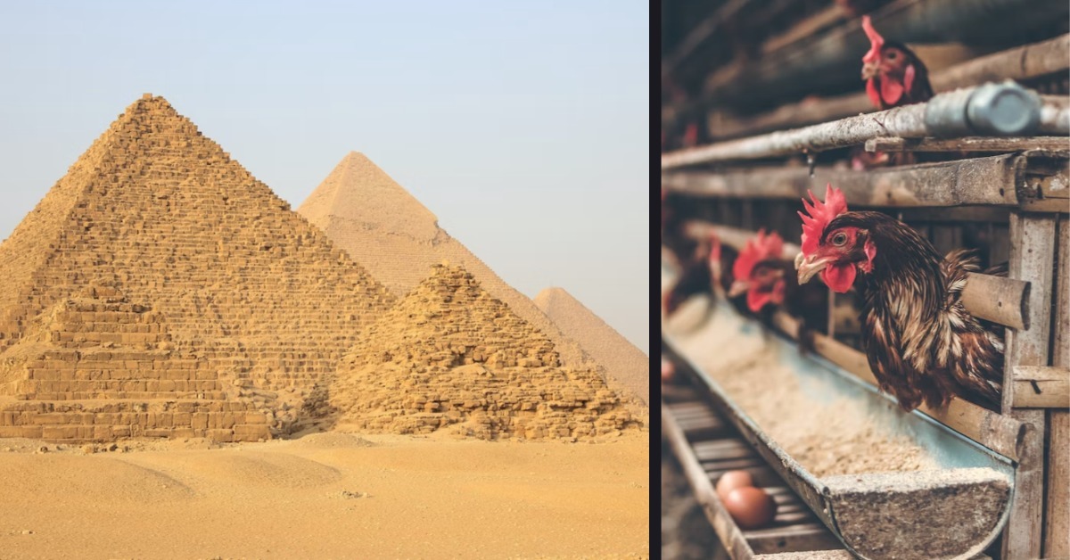 7 Unusual Subjects You Can Major in at College » TwistedSifter