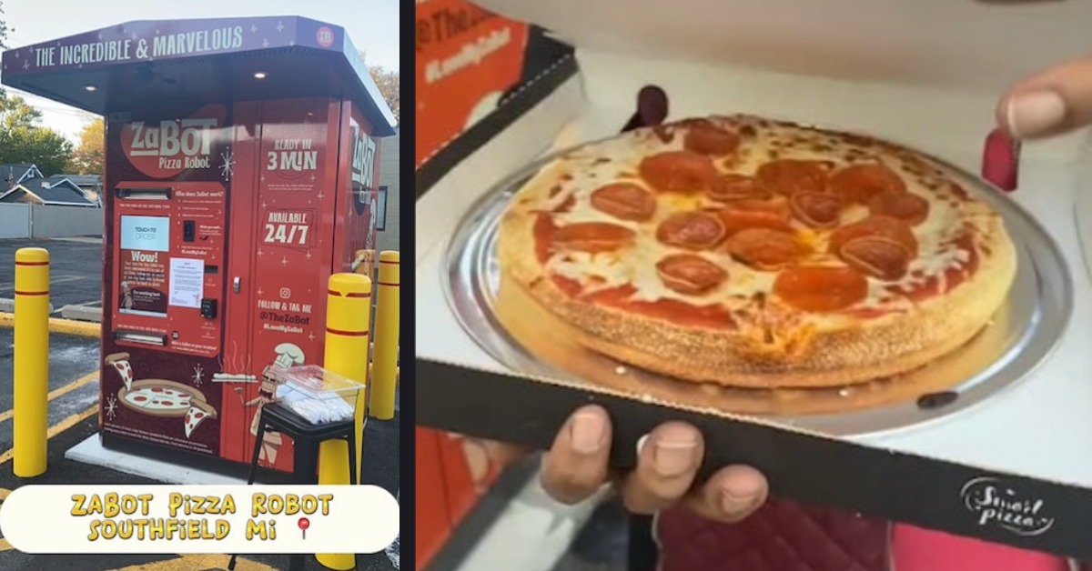 A Person Reviewed the Pizza From ZaBot the “Pizza Robot” » TwistedSifter