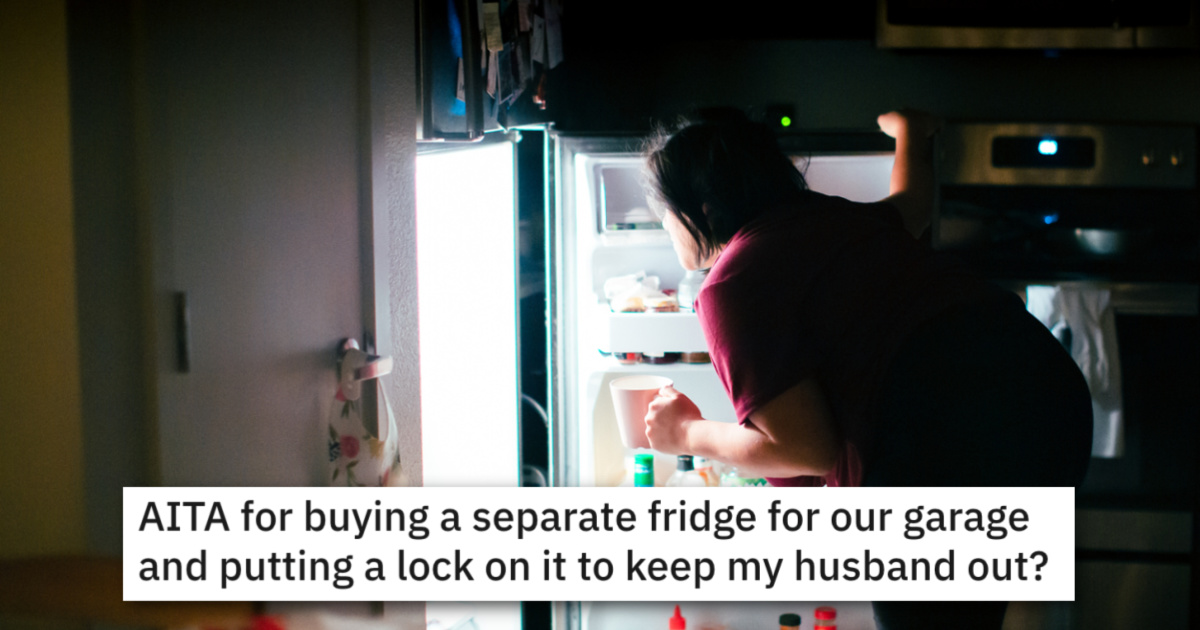 Woman Buys Herself A Fridge To Lock Up Her Snacks, Wonders Whether All ...