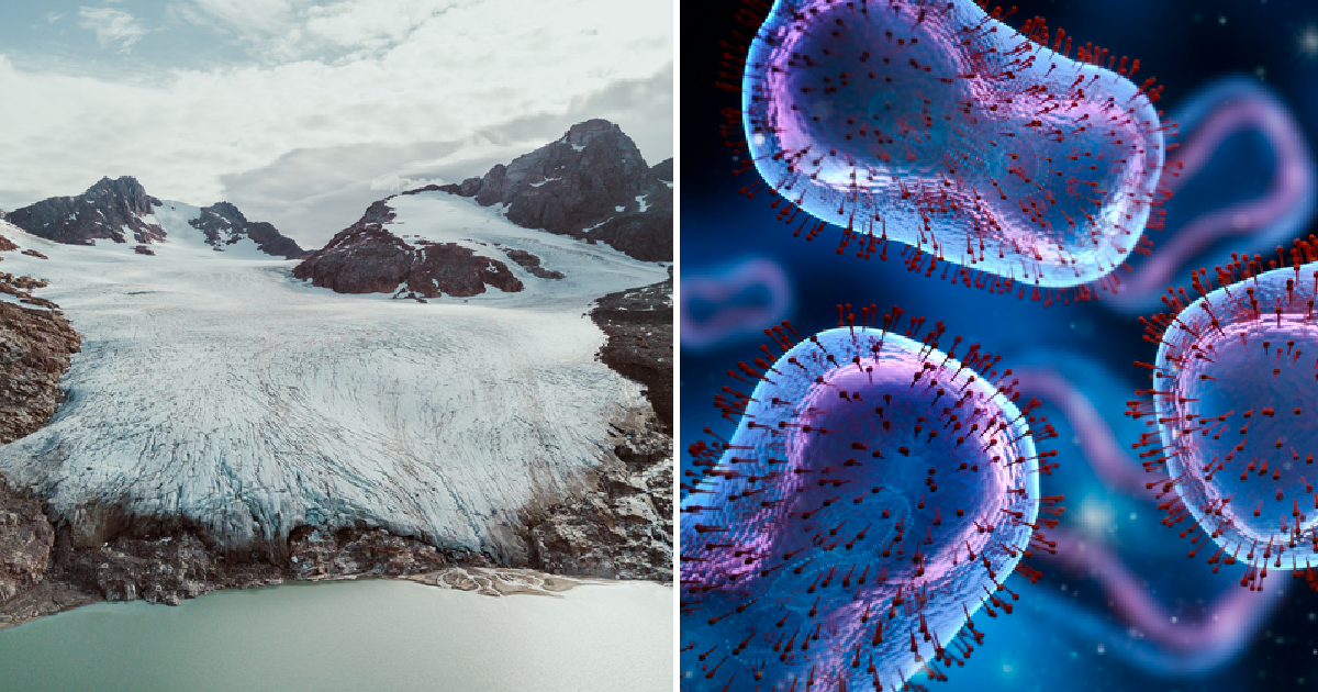 A 48,000-Year-Old “Zombie” Virus Is Back. What Are The Implications ...