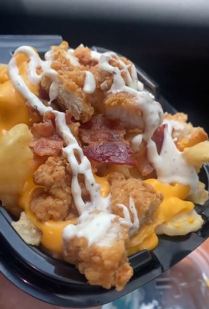 Arby’s Customer Shows The $5 Loaded Fries And Explains Why She’s Here ...