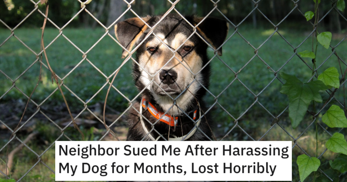 ‘The judge basically laughed away his claims.’ His Neighbor Harassed ...