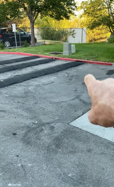 ‘Look! They’re taller than the curb’! Man Shows His Neighbor Installed ...